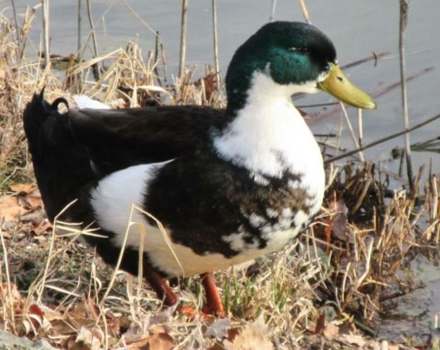 You DID remember today is Squirrel Appreciation Day, right? #Wordless ...